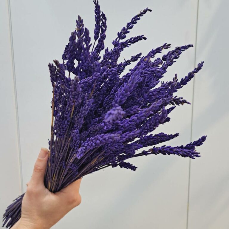 Ramo de Lavanda preservada Provence - Lekanda Floristas